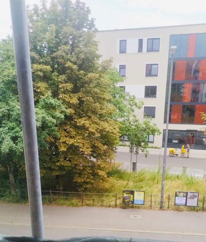 Comfy One Bedroom Apartment In Heidelberg - Heidelberg