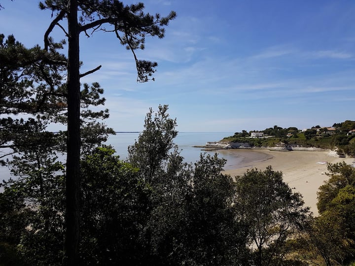 Bungalow Confortable à Meschers Mh92 - Meschers-sur-Gironde