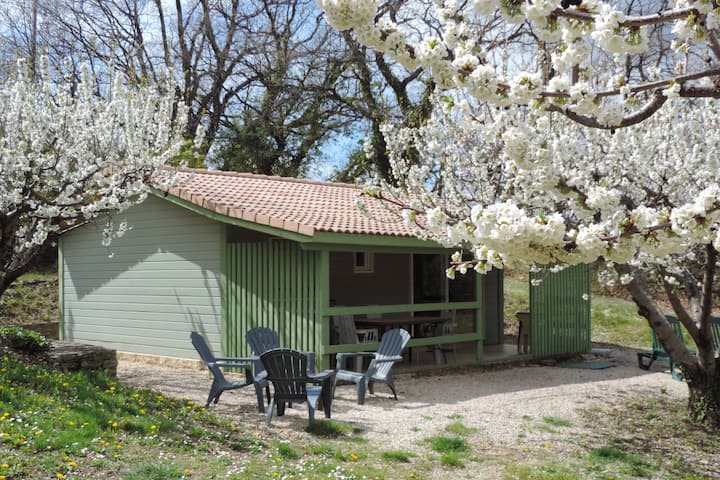 Chalet "Le Chêne" Avec Piscine - Vaucluse