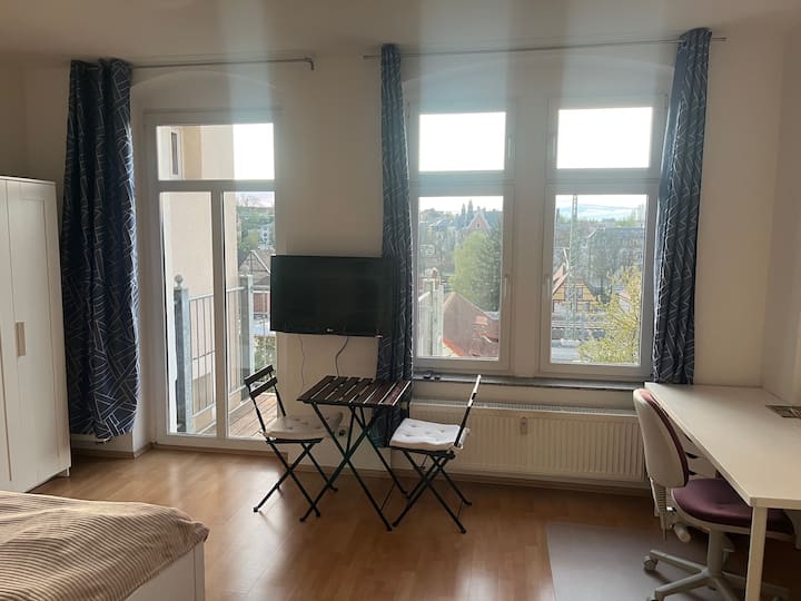 Helle 1-raum-wohnung Apartment Mit Balkon+küche - Dresden
