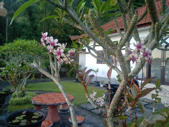 Penginapan Nyaman & Indah Di Pinggiran Danau Batur - Kintamani