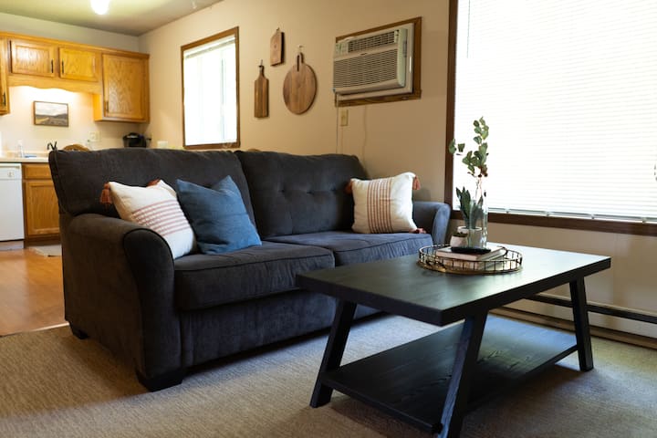 1br I Downtown, Queen, Free W/d, Garage - North Dakota