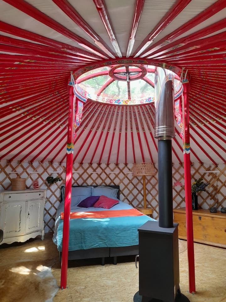 Super Yurt, for every season! - Yurts for Rent in Nieuwleusen ...