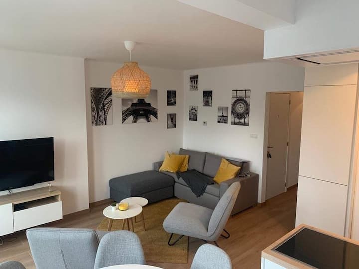 Rez De Chaussée Bien Situé - Ostende