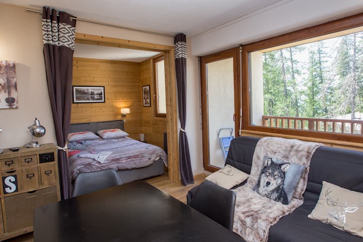 Appartement 2 Pièces / Cabine, Cœur De Valberg - Valberg