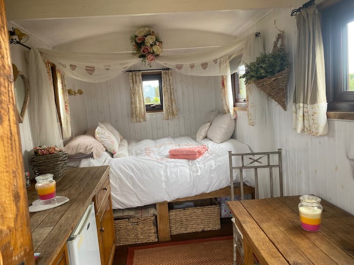 Delightful Shepherds Hut With Sunset And Sea Views - Exmoor