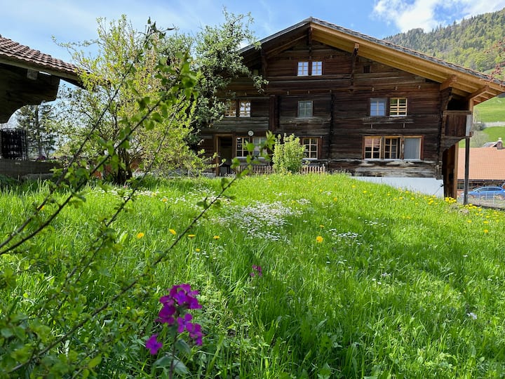 Appartement Wandelhorn 2 Chambres Dans Un Chalet - Meiringen