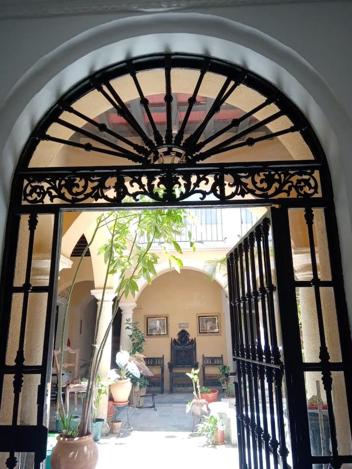 Apartamento 1 Dormitorio, Cocina, Baño Y Terraza. - Cádiz