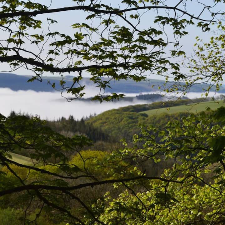 Farm Stay On Llanllwni Mountain - United Kingdom
