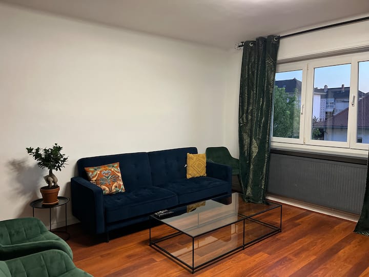 Appartement Et Parking + Proche De Centre - Strasbourg