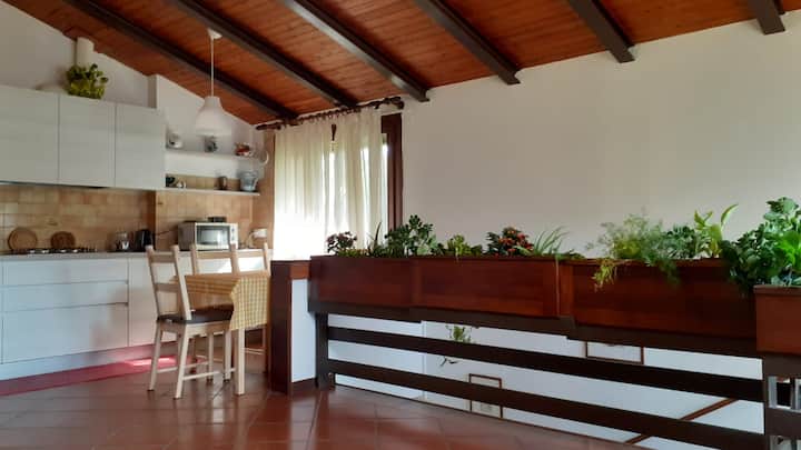 Casa Silver E Toni Bel Appartement à Padoue - Padoue