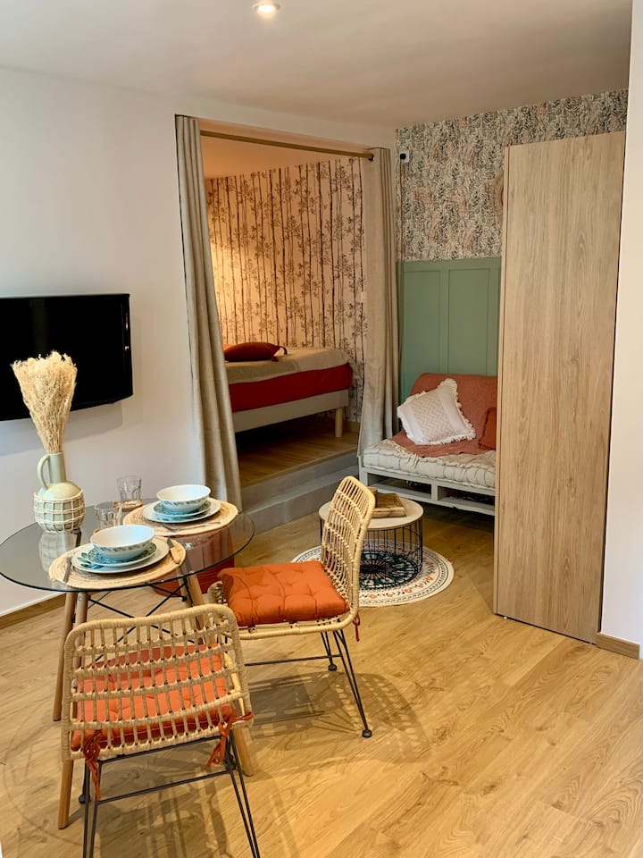 Natural Suite En Centre Ville Avec Spa Et Jardin - Dijon