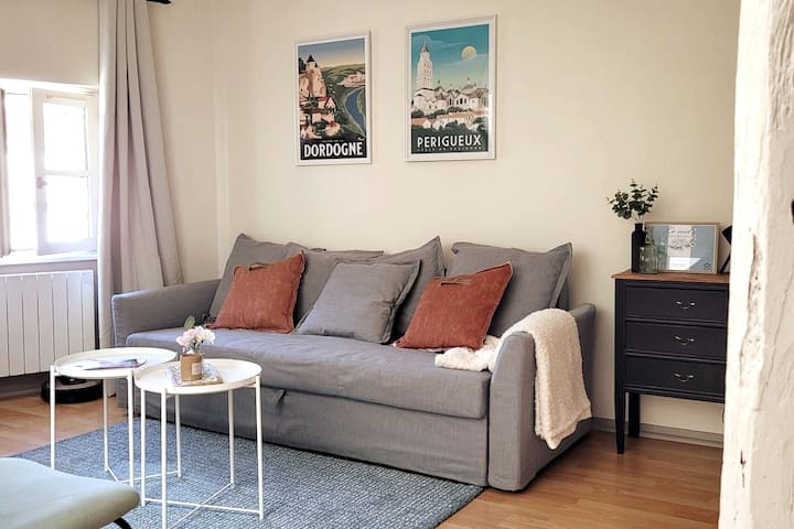 Charme & Vue: Cœur De Périgueux, 4 Personnes - Périgueux
