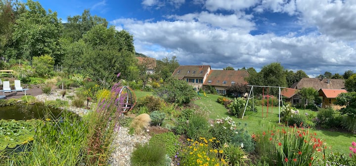 La Cocatte As De Coeur, Un Petit Coin De Paradis - Bergheim, France