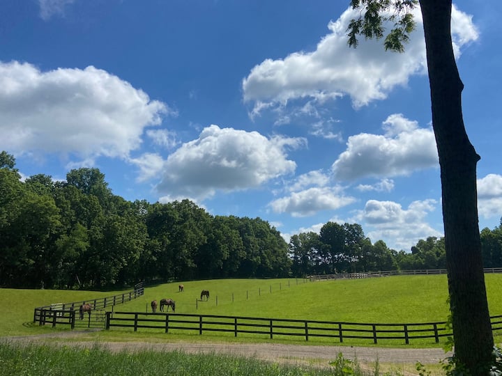 Cabin 2: Horses & Hot Tubs On Perry Lake - Michigan