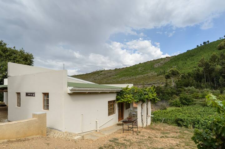 Forelle Loft - Vredehoek Guest Farm - Wolseley