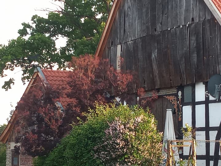 Wohlfühlwohnung Im Grünen Auf Pferdehof - Detmold