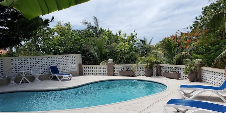 Villa Amaising:airport Transfers/chef Service! - Montego Bay