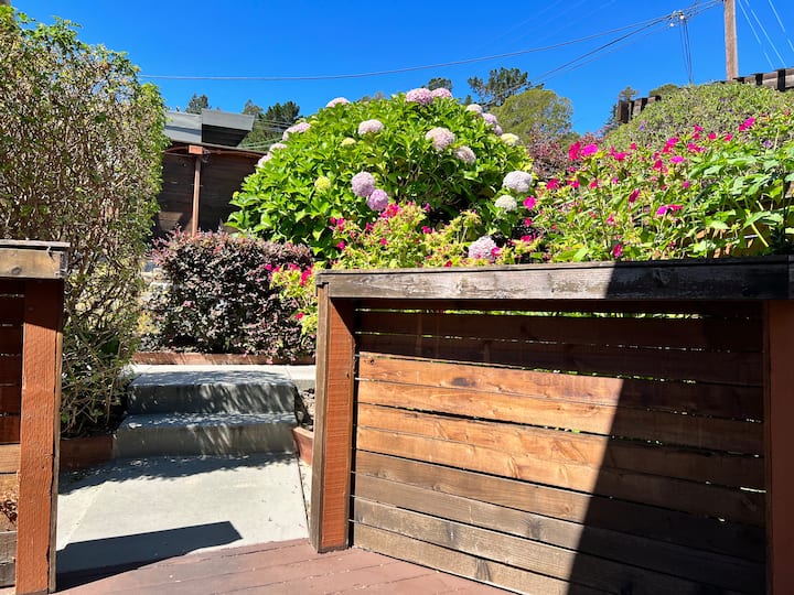 Garden Oasis 1br | Laundry & Parking | Walkable - 샌머테이오