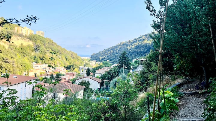 Studio Climatisé Dans Villa Avec Piscine - Niza