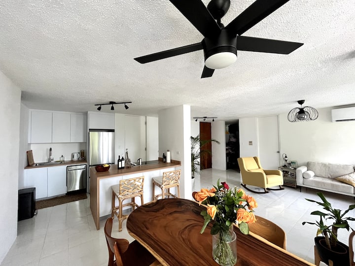 Santurce Spacious  Apartment, Walk Everywhere! - San Juan