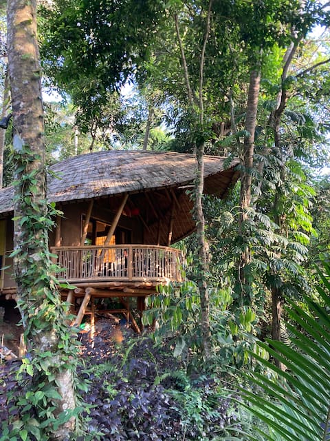 Provinsi Bali Treehouse Vacation Rentals - Indonesia | Airbnb