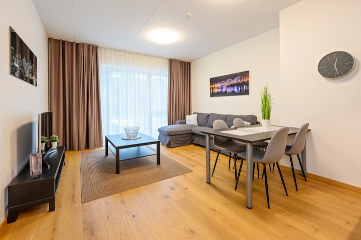 Spacious One Bedroom Apartment In The City Center - Tallinn