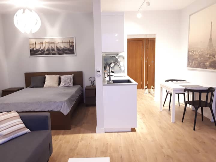 Loft Park Cytadela - Blisko Centrum - Przy Parku - Poznań
