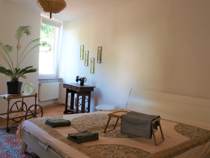 Vintage-altbauwohnung, Smarttv & Kaffeevollautomat - Idar-Oberstein