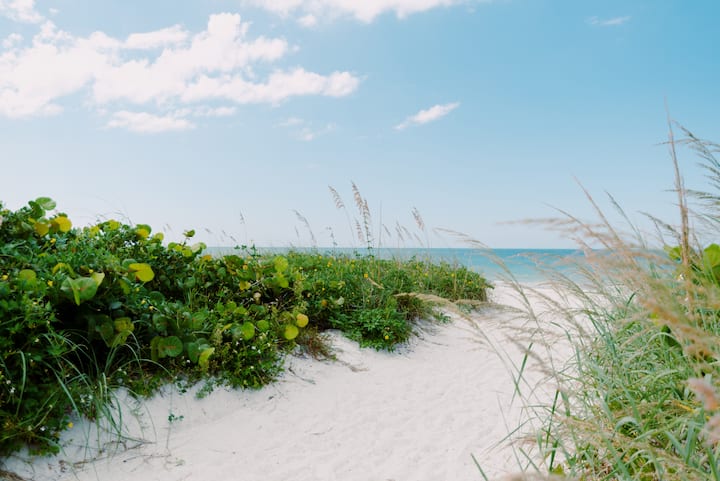 New Beautiful Beachfront Apt With Beach & Pool - Belleair Beach, FL