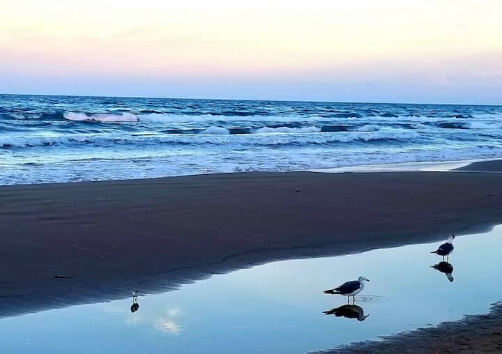 Newly Listed Condo: Beach Time - Mar Y Sol Unit #4 - South Padre Island, TX