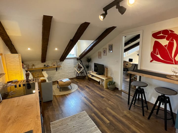 Beautiful And Cosy Apartment In City Centre - Rijeka