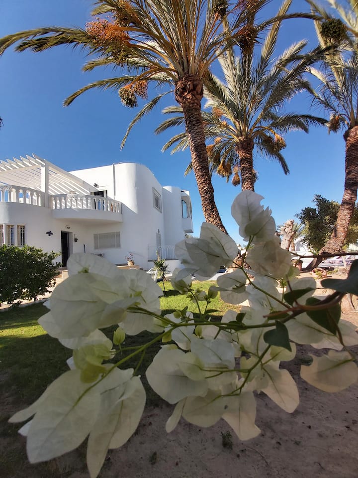 Dar Zahra Djerba - Djerba