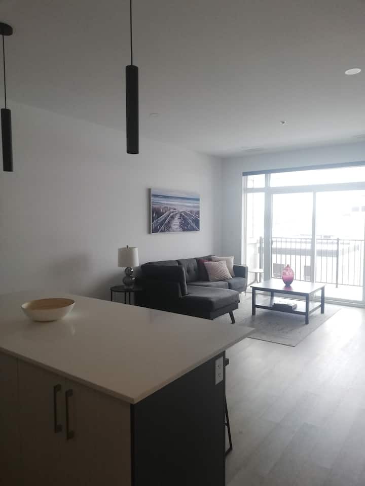 Quiet 1-bed Apartment Fully-furnished - Ottawa