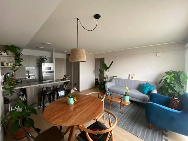 Vive Barranco - Pérou