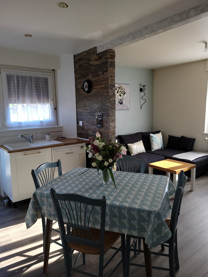 Appart Au Cigogneau Balcon Parking Wifi Netflix - Munster