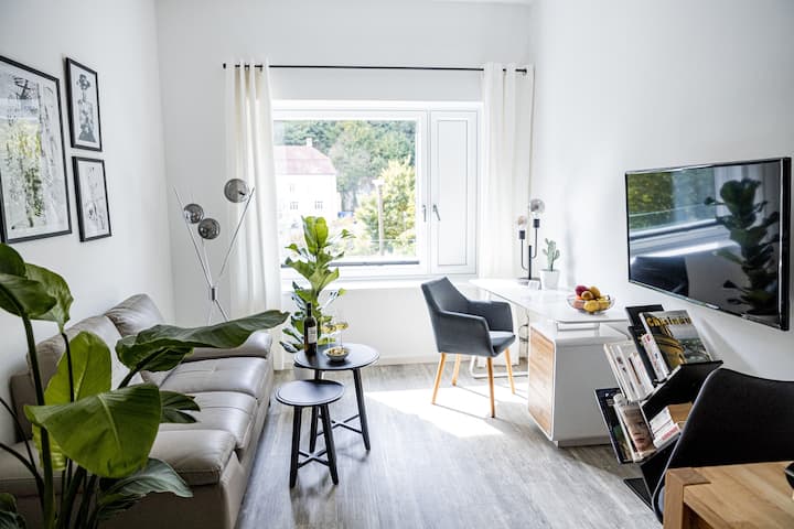 Bonnystay: Modern, Central 2 Room Apt. - Passau