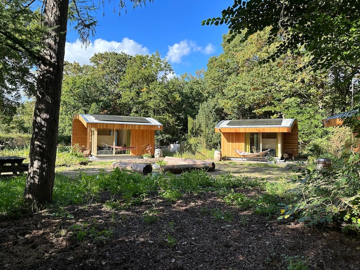 Modern Tiny House In Otterlo. - Ede