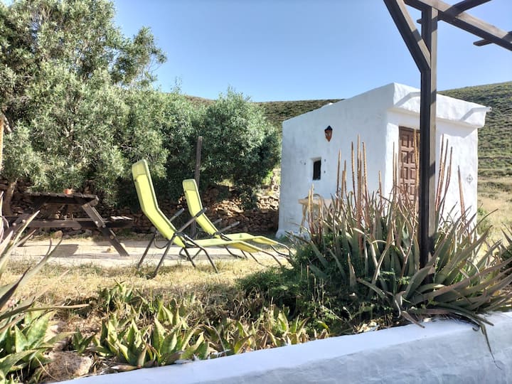 La Chumbera - Cabo de Gata