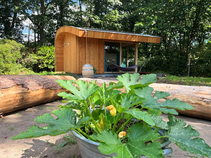 Modern Tiny House Located In The Woods. - Ede