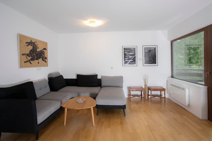 Two Bedroom Apartment With Two Balconies - Planica