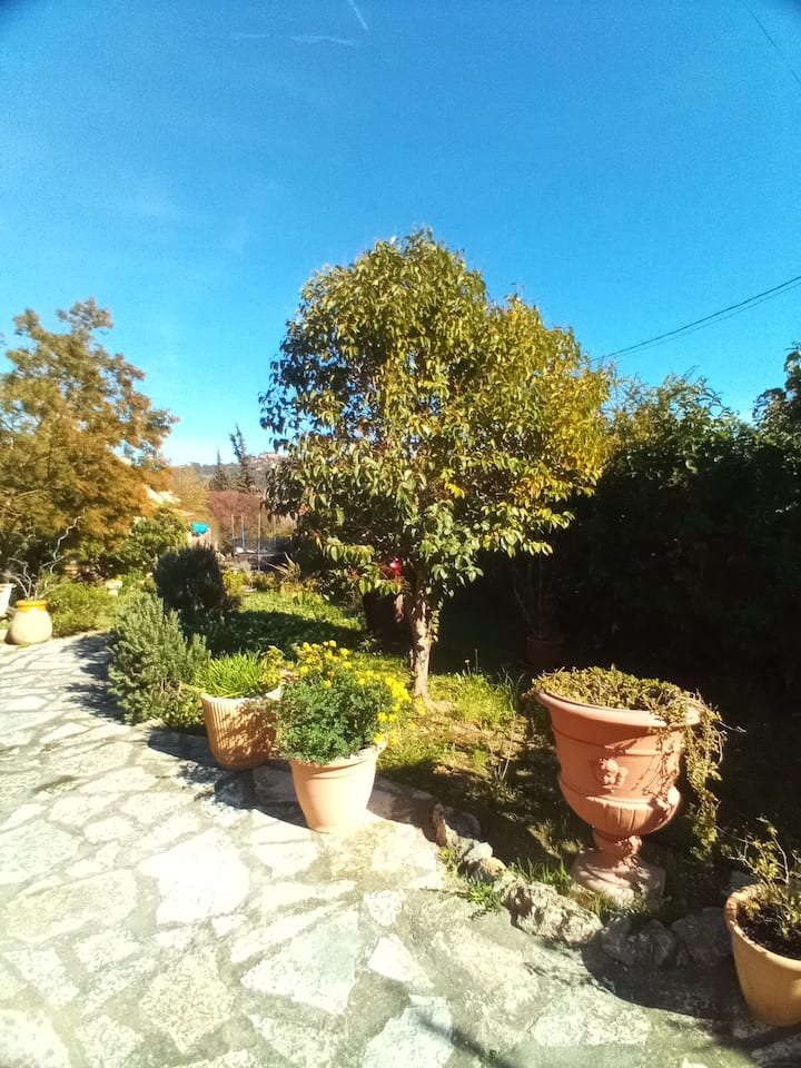 Deux Pièces Au Calme. - La Seyne-sur-Mer