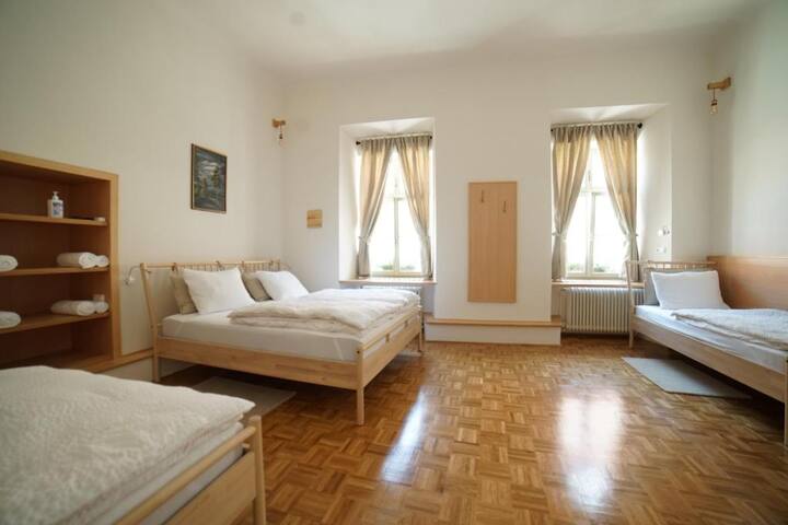 Apt Gregorius (B&b) | City Centre | Free Parking - Ptuj