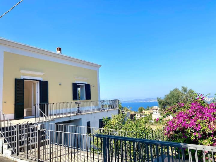 Villa Nolelu -  Casa Vacanza Panoramica Sul Golfo - Ischia