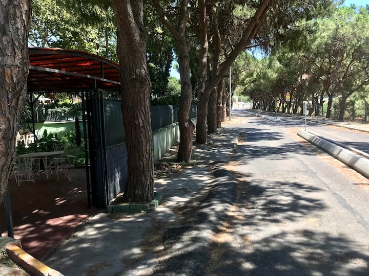 Denize Ve Toplu Ulaşıma Yakın Sakin Aile Apartmanı - İçmeler