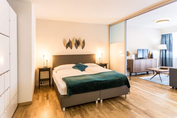 Easy Junior One Bedroom Apartment - Zúrich