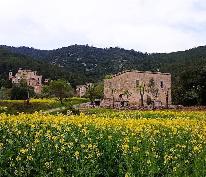 El Castell De Segueró - Besalú