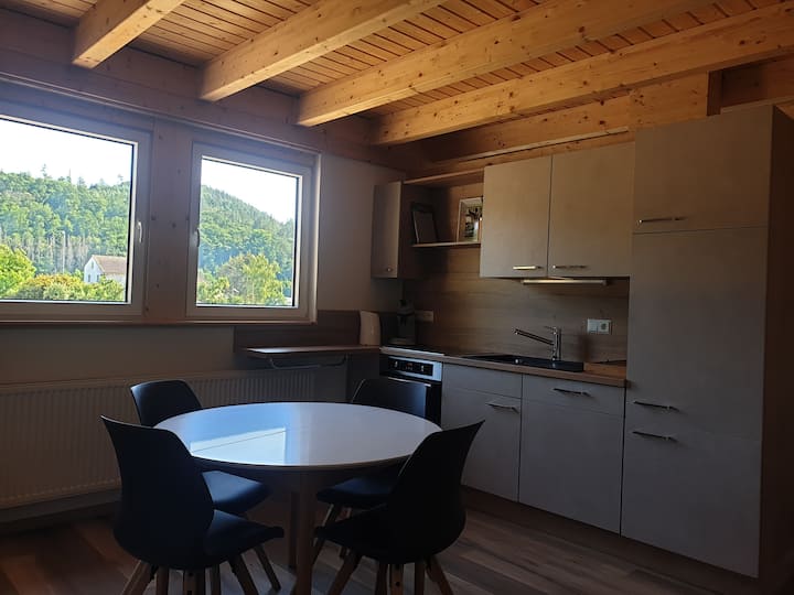 Fewo Buchenmeer In Edertal-kleinern Nähe Edersee - Edertal