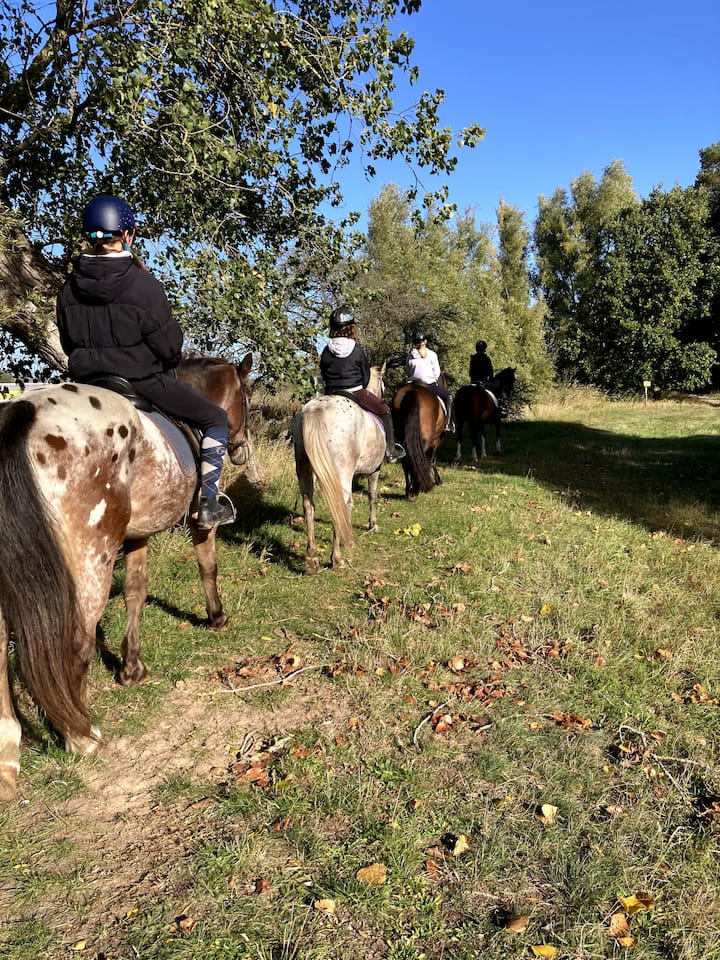 Ferienwohnung 3 Auf Dem Reiterhof - Zinnowitz