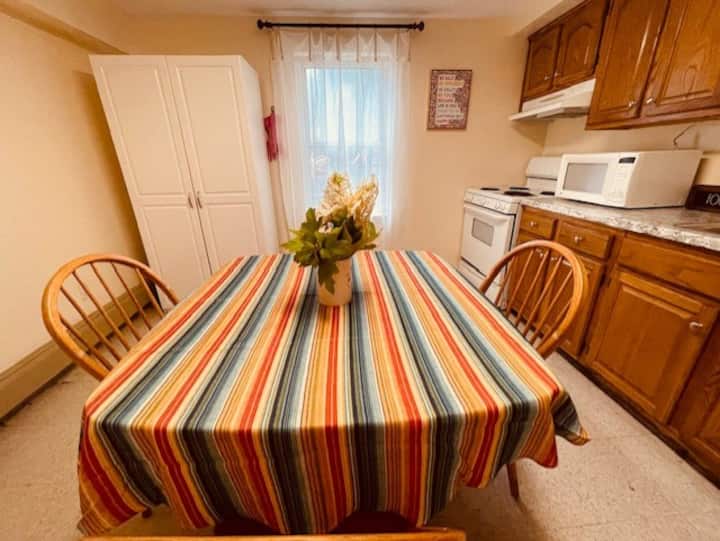 Friendly Harvard Square 1-bedroom Free Parking - Cambridge, MA